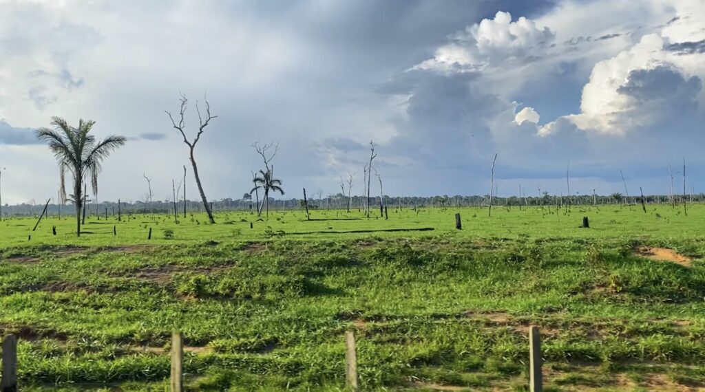 Crossing the Trans-Amazonian Highway by Car in 11 Days 🇧🇷 - Alexandra ...