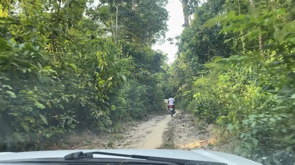 Crossing the Trans-Amazonian Highway by Car in 11 Days 🇧🇷 - Alexandra ...