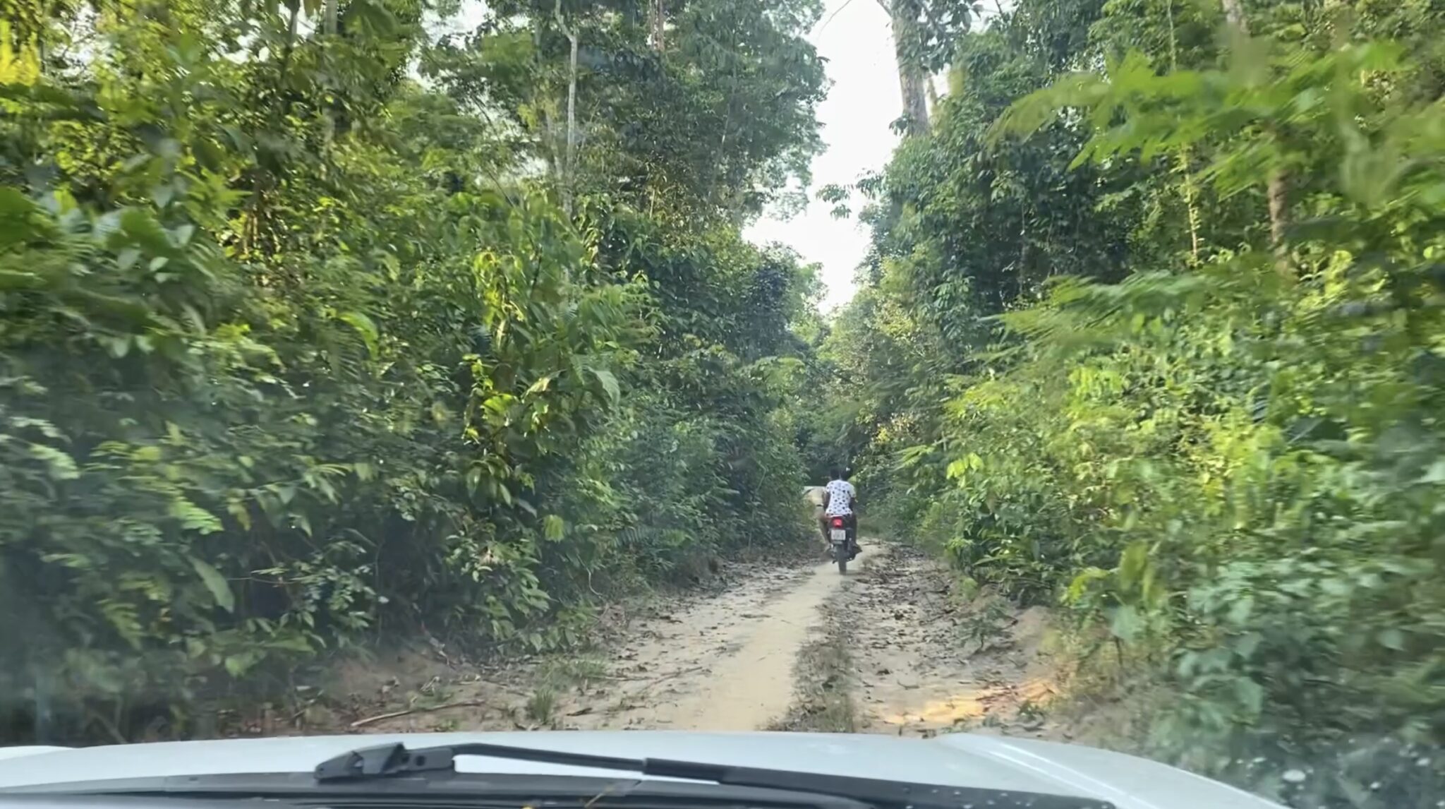 Crossing the Trans-Amazonian Highway by Car in 11 Days 🇧🇷 - Alexandra ...